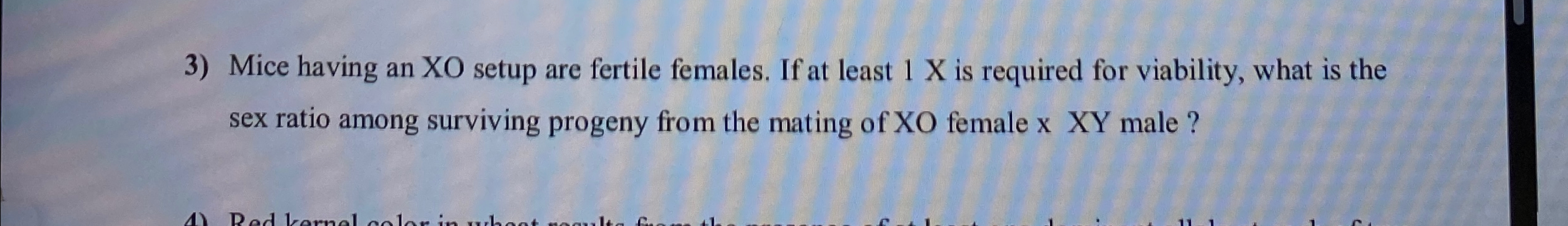 Solved Mice having an xO ﻿setup are fertile females. If at | Chegg.com