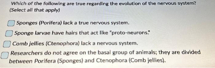 Solved What traits of Homo erectus are inferred adaptations | Chegg.com