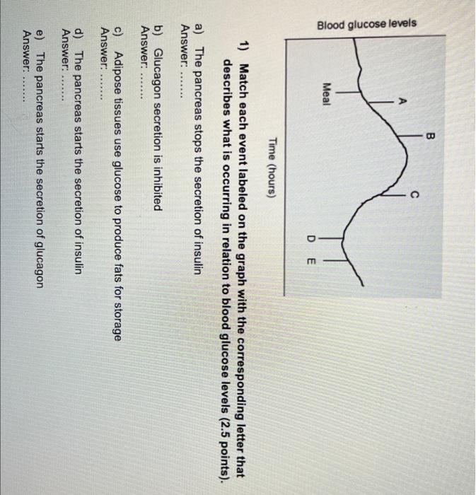 Solved 1) Match each event labeled on the graph with the | Chegg.com