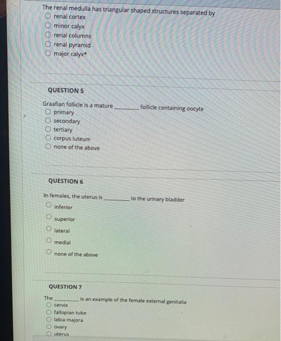 Solved The renal medulla has triangular shaped structures | Chegg.com