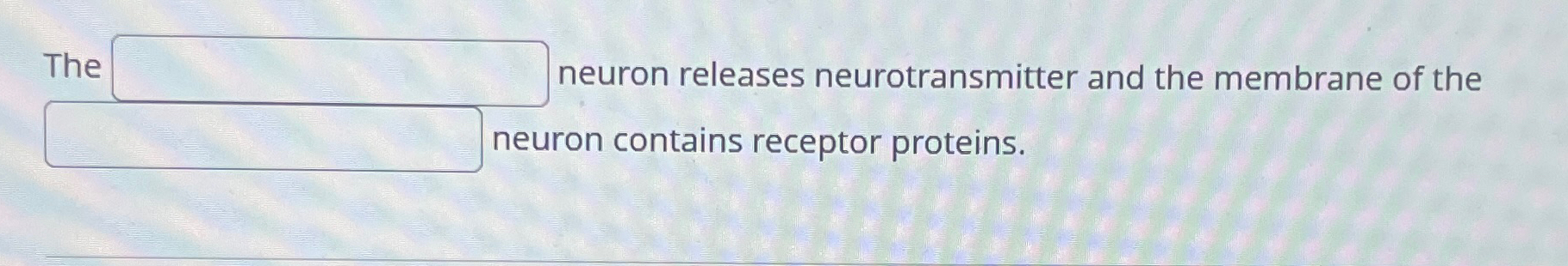 Solved The ﻿neuron releases neurotransmitter and the | Chegg.com