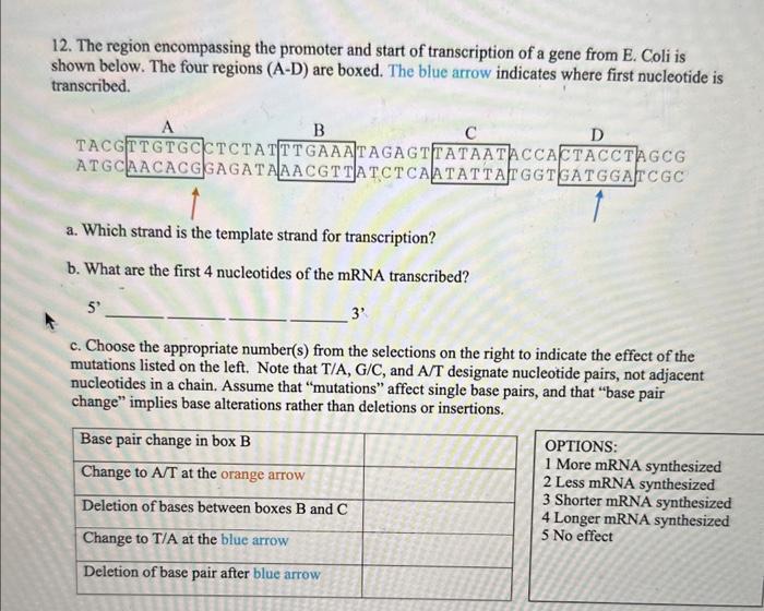 Solved 12. The region encompassing the promoter and start of | Chegg.com