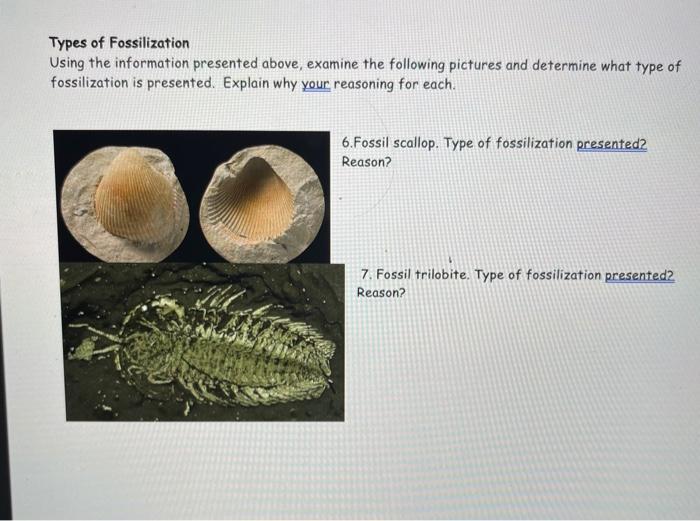 Solved Types of Fossilization Using the information | Chegg.com