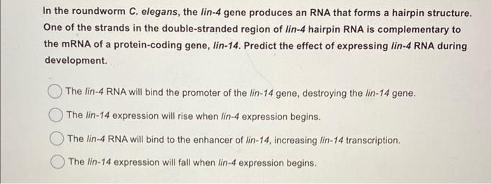 Solved In the roundworm C. elegans, the lin-4 gene produces | Chegg.com