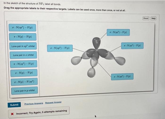 Solved In the sketch of the structure of NF, label all | Chegg.com