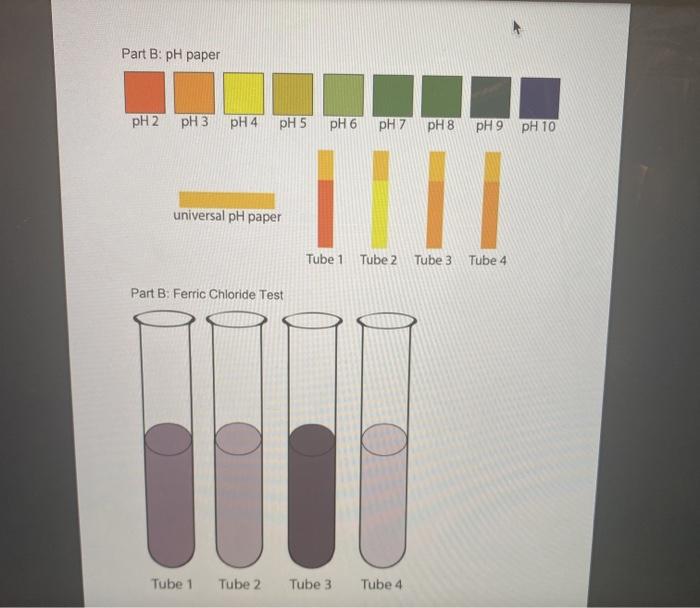 Solved Part B: pH paper pH 2 pH 3 pH 4 pH 5 pH 6 pH 7 pH 8 | Chegg.com