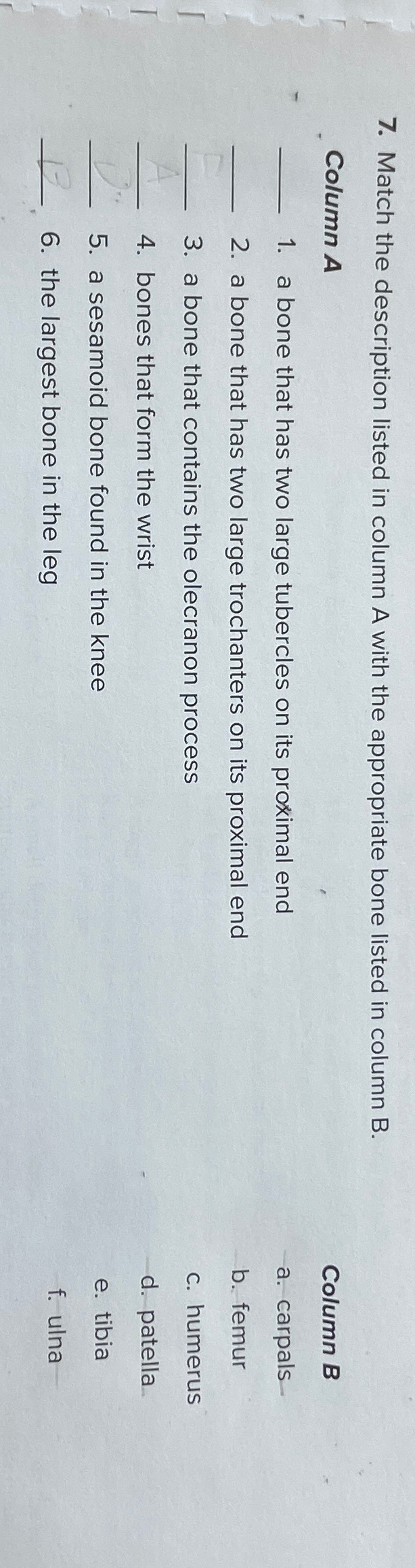 Solved Match the description listed in column A with the | Chegg.com