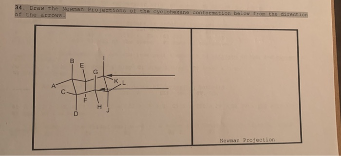 Solved 34. Draw the Newman Projections of the cyclohexane | Chegg.com