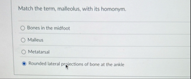 Solved Match the term, malleolus, with its homonym.Bones in | Chegg.com