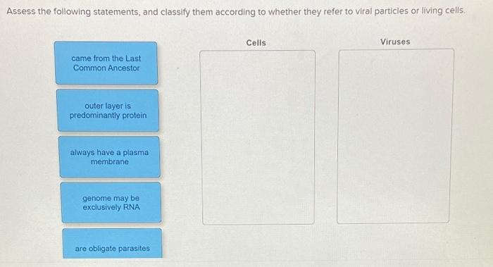 Solved Assess the following statements, and classify them | Chegg.com