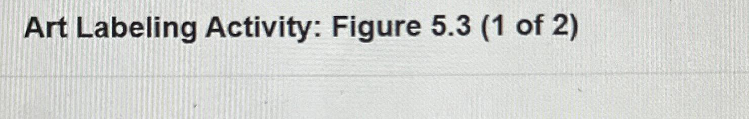 Solved Art Labeling Activity: Figure 5.3 (1 ﻿of 2) | Chegg.com
