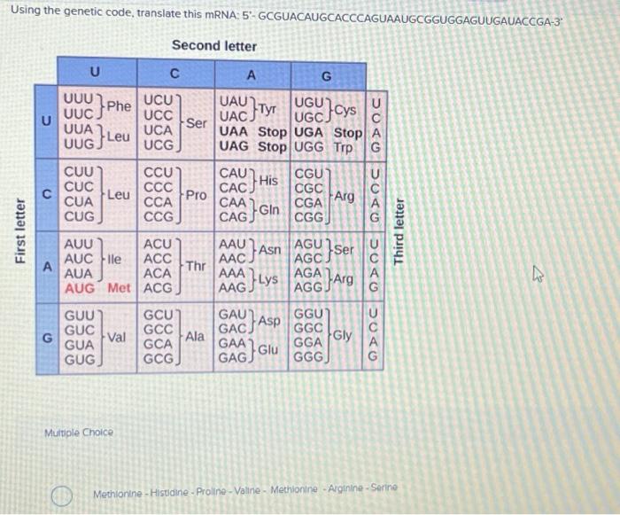 Using the genetic code, translate this mRNA: 5'- | Chegg.com