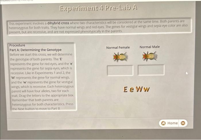 Solved 1. Which trait was masked and did not appear in the | Chegg.com