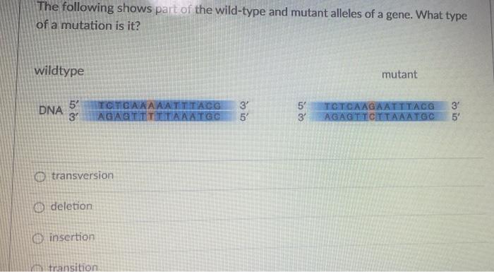 Solved The following shows part of the wild-type and mutant | Chegg.com