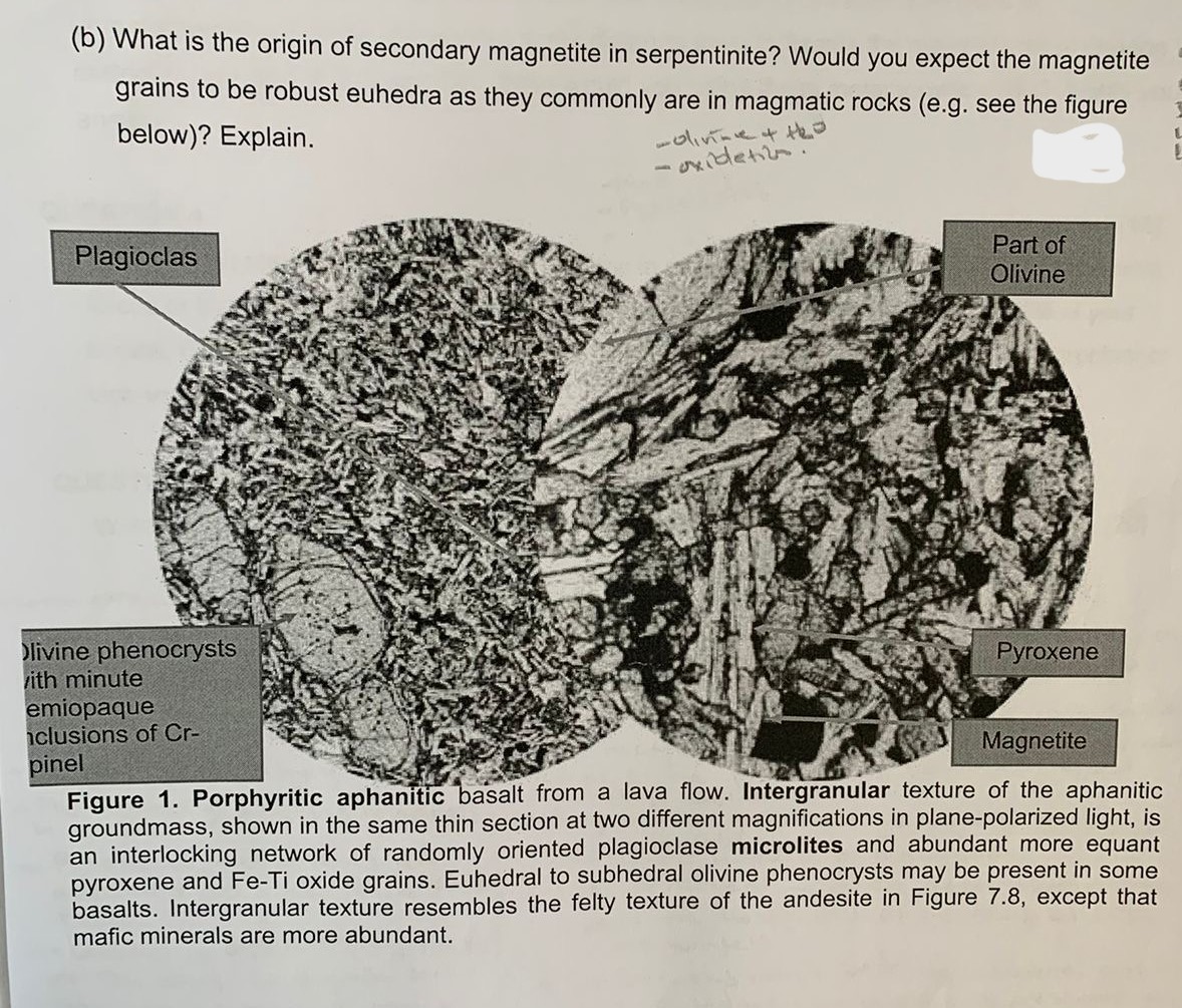 Solved Figure 1. ﻿Porphyritic aphanitic basalt from a lava | Chegg.com