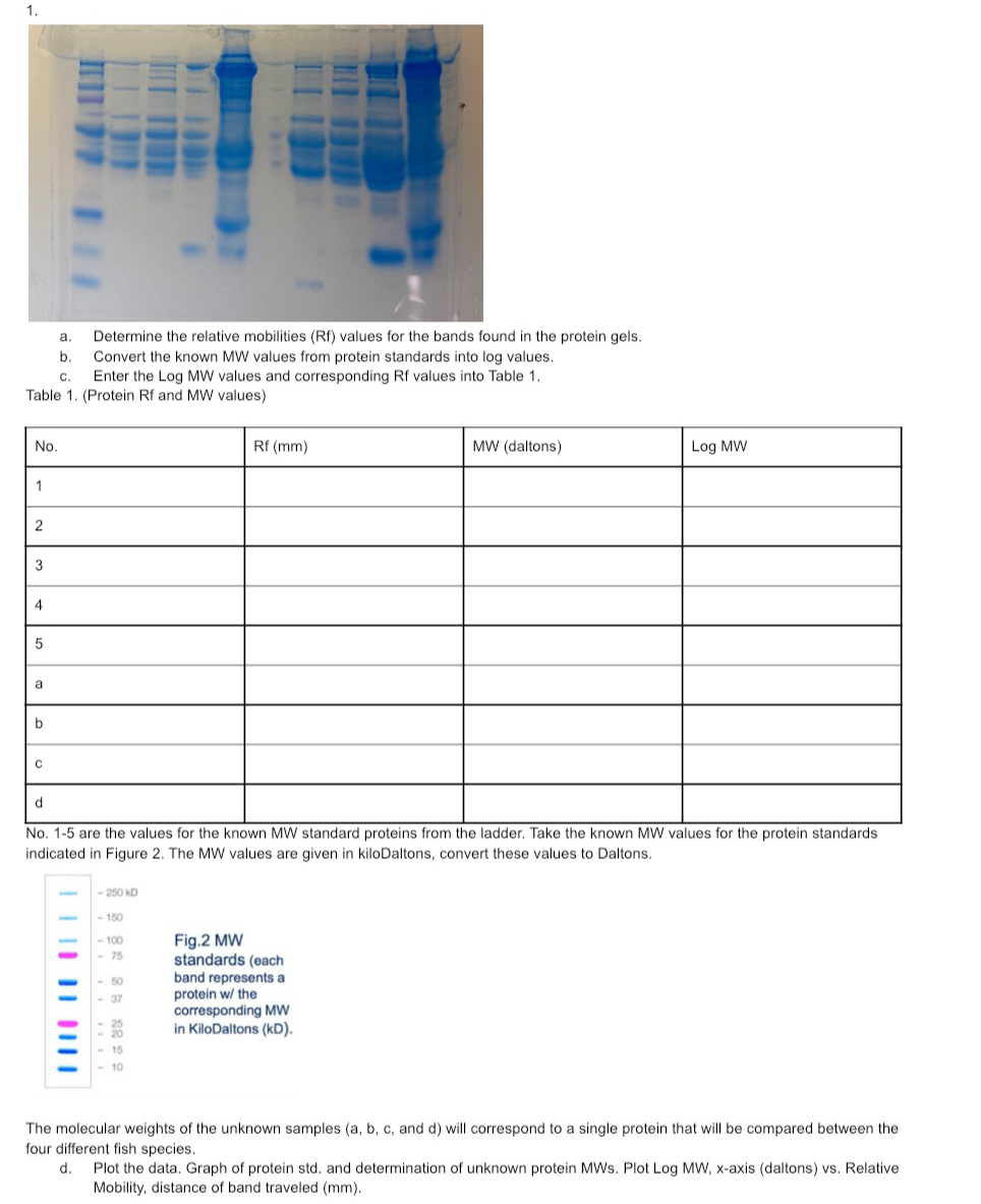 Solved a. ﻿Determine the relative mobilities ( Rf ﻿values | Chegg.com
