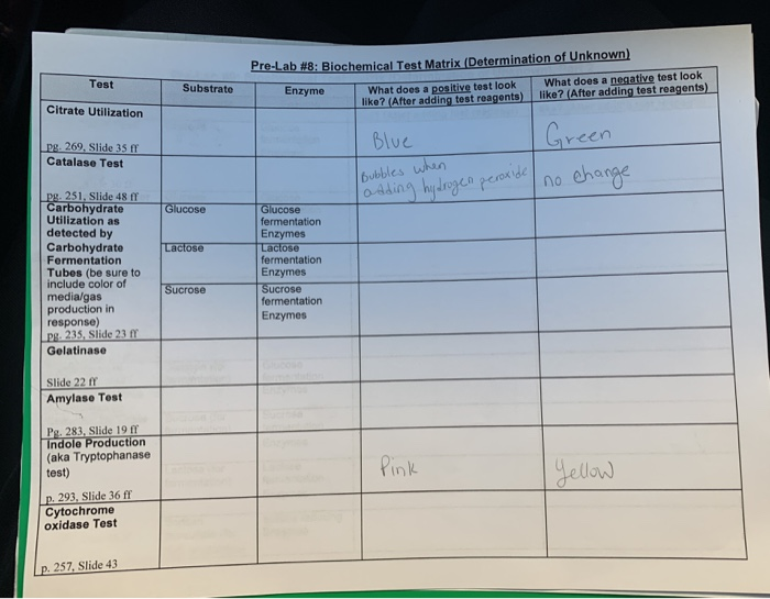Solved Pre-Lab #8: Biochemical Test Matrix (Determination of | Chegg.com
