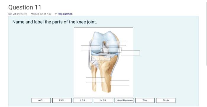 Solved Name and label the parts of the knee joint. Label | Chegg.com