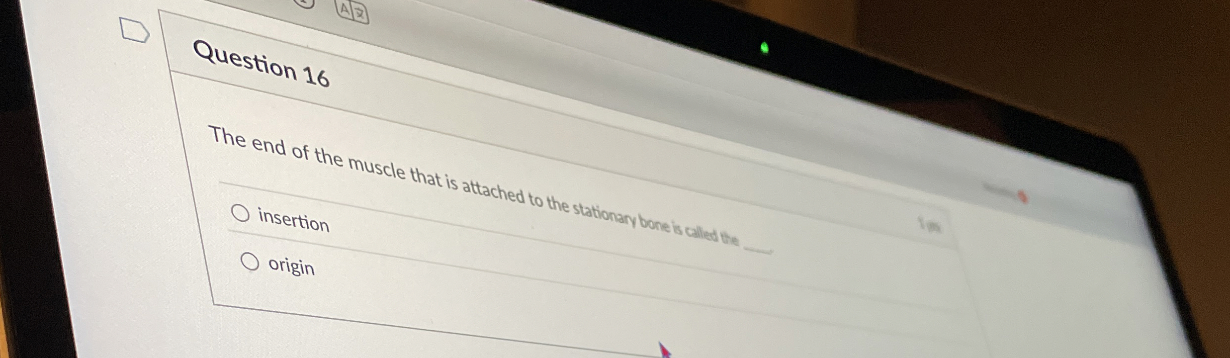 Solved Question 16The end of the muscle that is attached to | Chegg.com