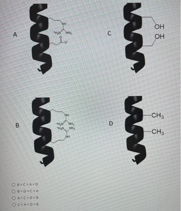 Solved Based exclusively on the side-chain side-chain | Chegg.com