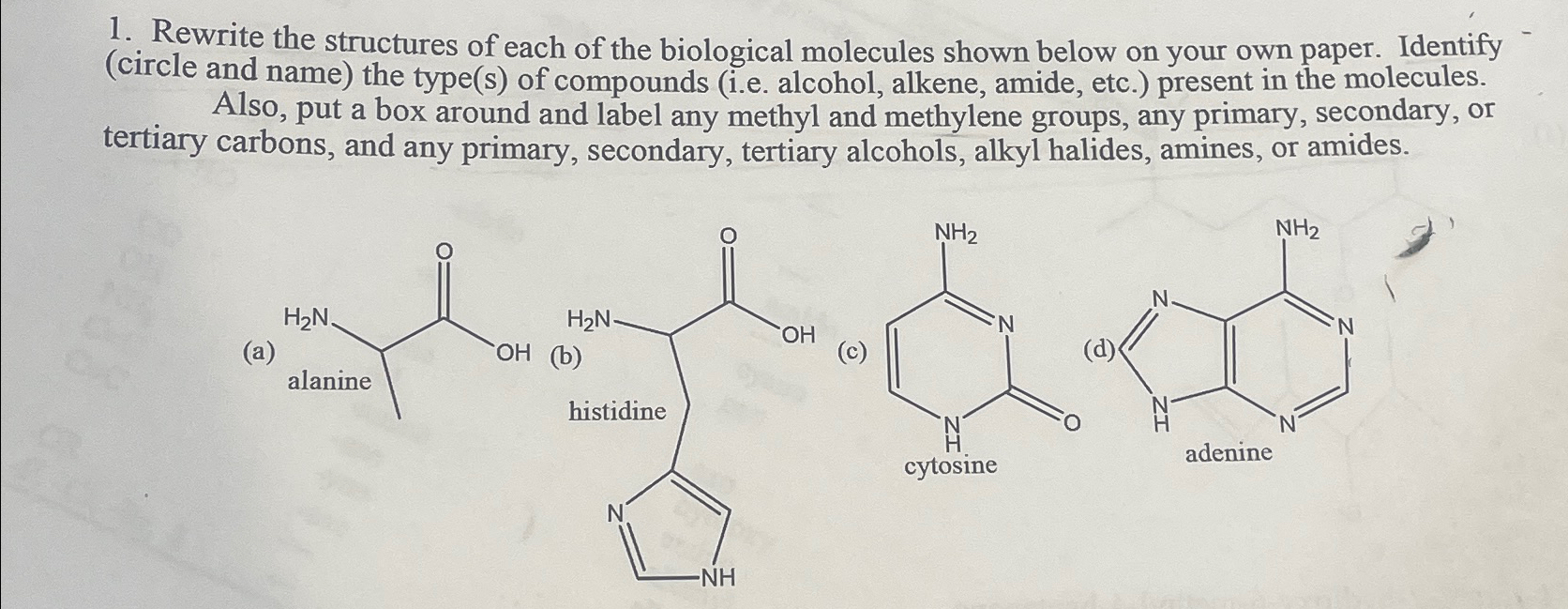 Solved Rewrite the structures of each of the biological | Chegg.com