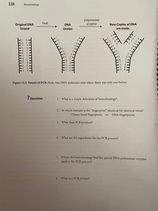 Solved 228 Biotechnology Original DNA_heat heat Original DNA | Chegg.com