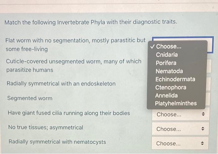 Solved Match the following Invertebrate Phyla with their | Chegg.com