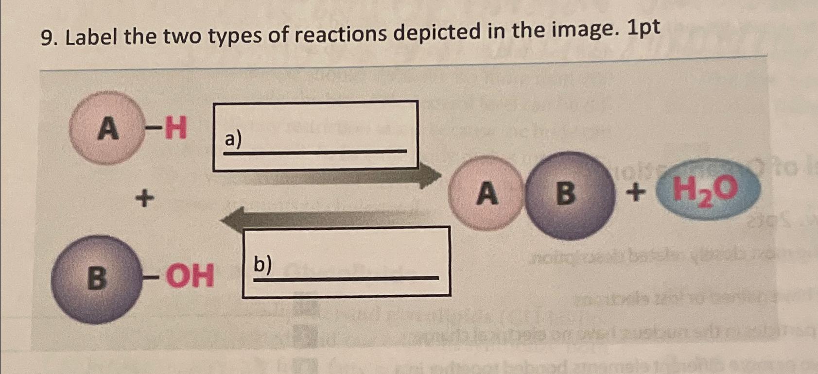Solved Label the two types of reactions depicted in the | Chegg.com