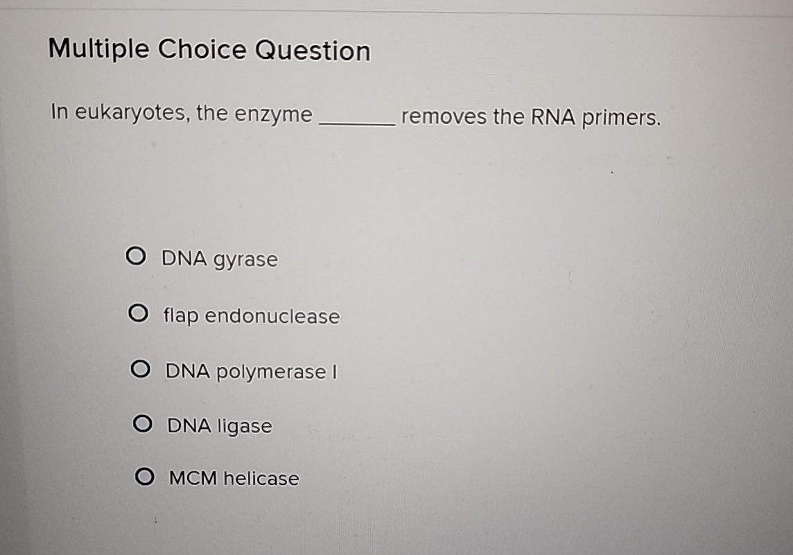 Solved Multiple Choice QuestionIn eukaryotes, the enzyme q, | Chegg.com
