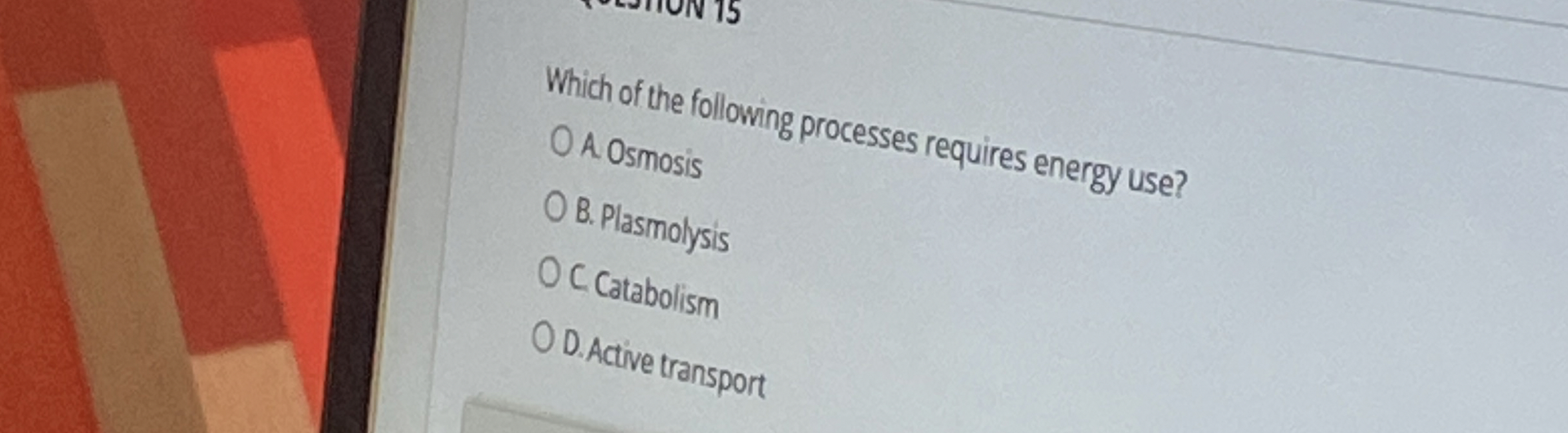 Solved Which of the following processes requires energy | Chegg.com