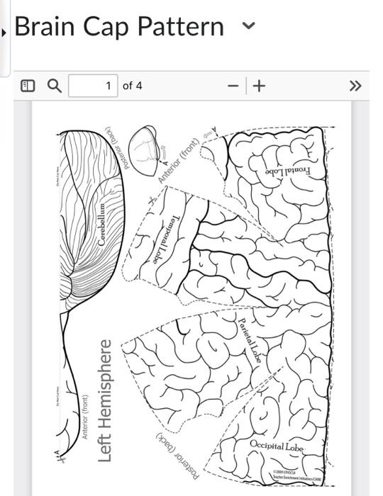 Brain Cap PatternTo Make the "Cap" (21pts) | Chegg.com
