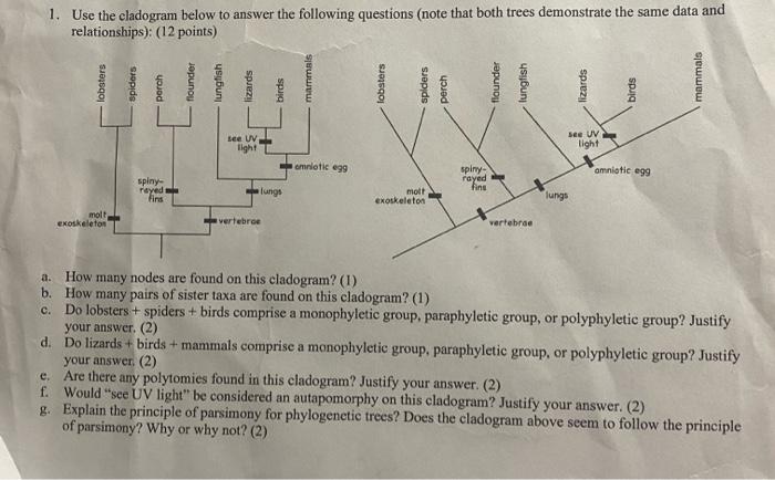 Solved Use the cladogram below to answer the following | Chegg.com