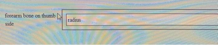 Solved forearm bone on thumb radius side | Chegg.com