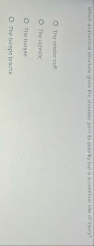 Solved Which anatomical structure gives the shoulder joint | Chegg.com