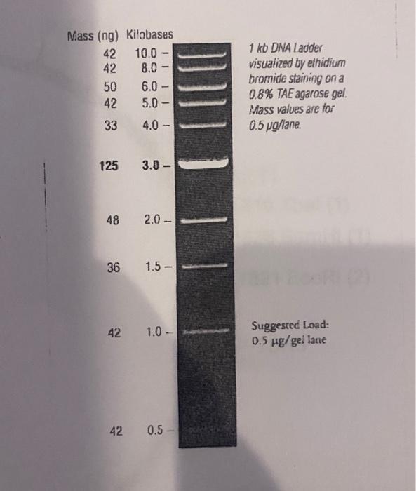 Solved 2. (4 pts) From the data (gel image below) label each | Chegg.com