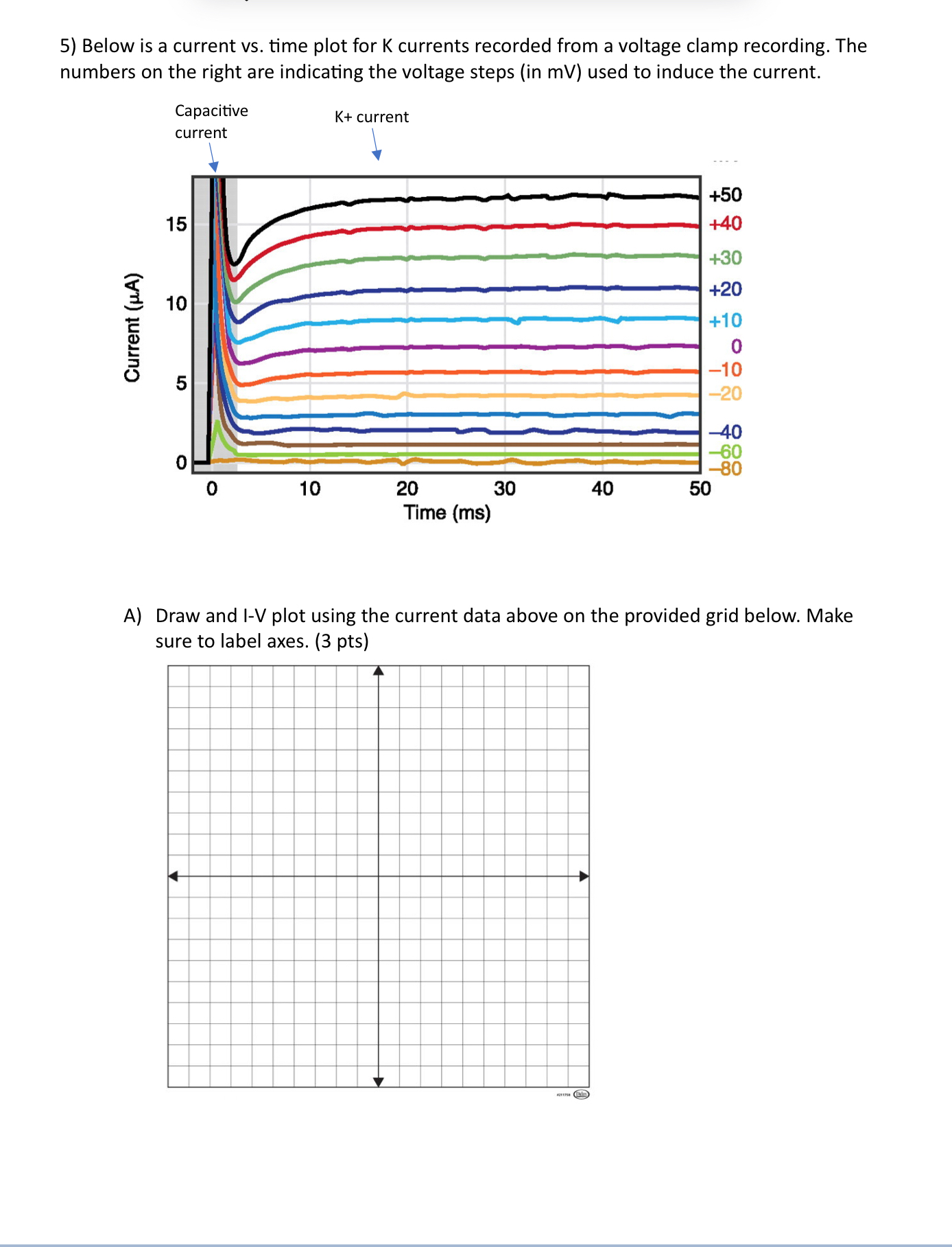 Solved Below is a current vs. ﻿time plot for K ﻿currents | Chegg.com