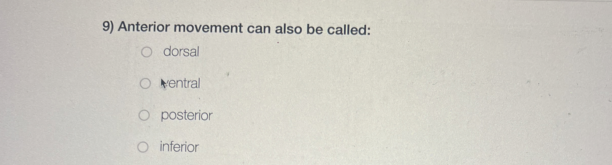 Solved Anterior movement can also be | Chegg.com