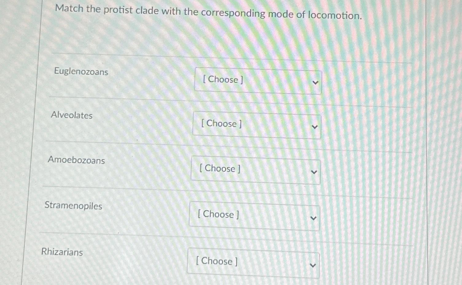 Solved Match the protist clade with the corresponding mode | Chegg.com