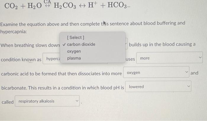 Solved CO2+H2O↔CAH2CO3↔H++HCO3− Examine the equation above | Chegg.com