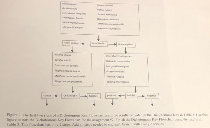 Solved + + + + + + + - - Assignment #2: Design a Dichotomous | Chegg.com