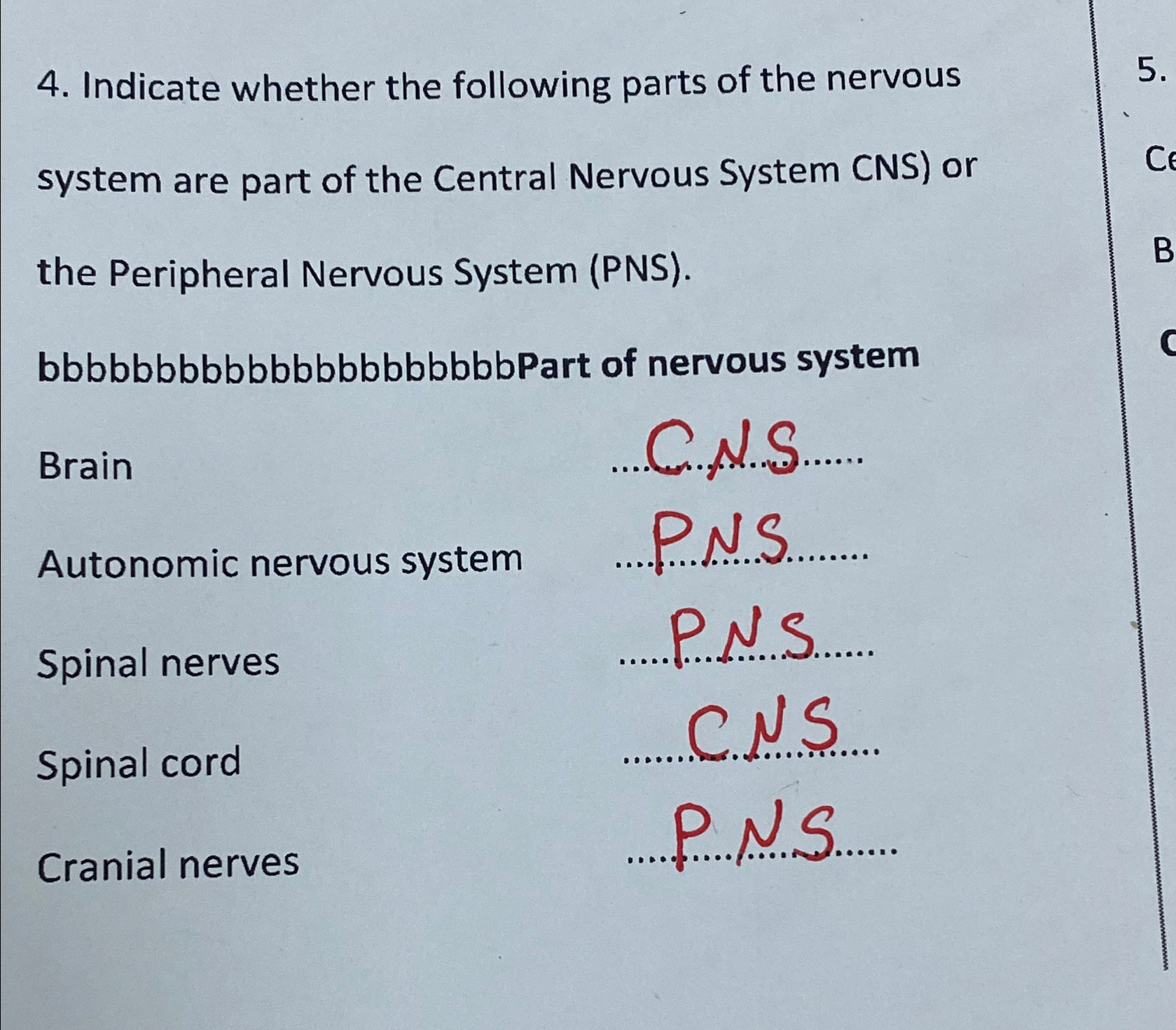 Solved Indicate whether the following parts of the nervous | Chegg.com