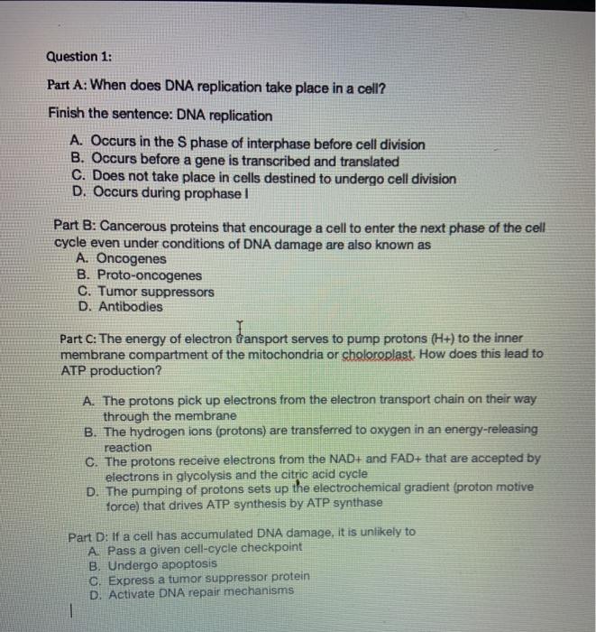 Solved Question 1: Part A: When does DNA replication take | Chegg.com