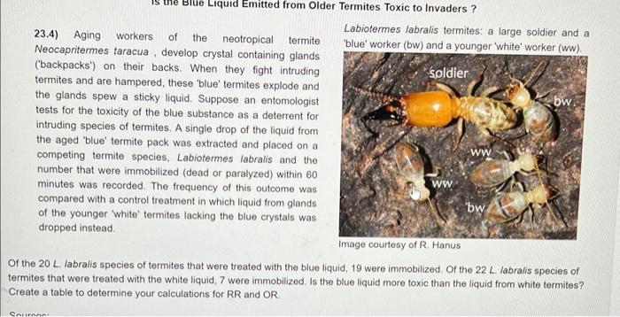 Solved 23.4) Aging workers of the neotropical termite | Chegg.com