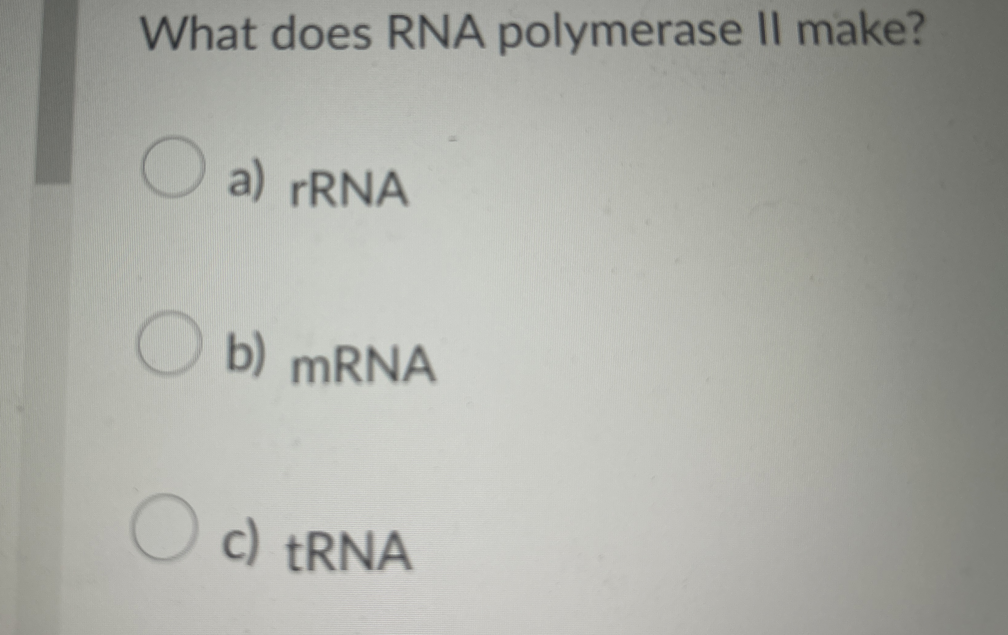 Solved What does RNA polymerase II make?a) ﻿rRNAb) ﻿mRNAc) | Chegg.com