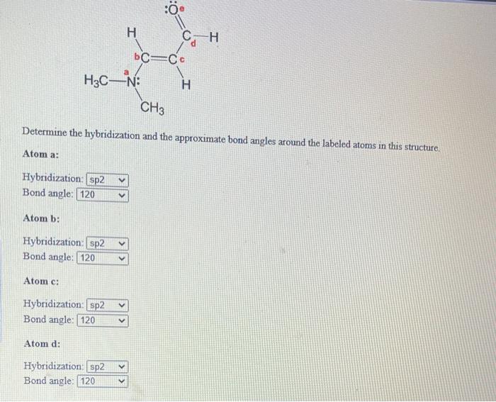 Solved H -Н bC=CC H3C—N: H CH3 Determine the hybridization | Chegg.com