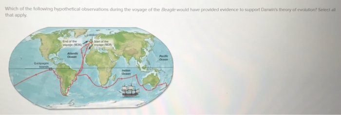 Solved Which of the following hypothetical observations | Chegg.com