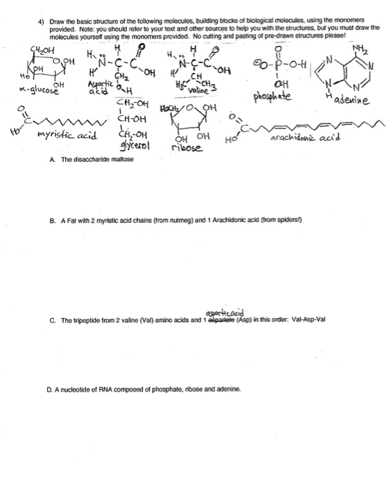 Solved Choh горн 4 Draw The Basic Structure Of The