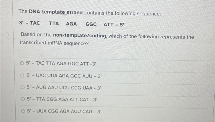 The DNA template strand contains the following | Chegg.com