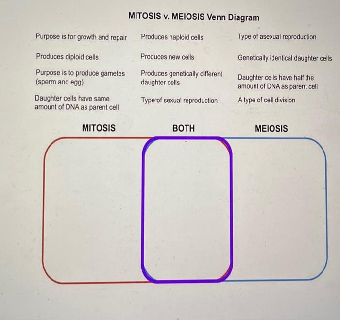 Solved MITOSIS v. MEIOSIS Venn Diagram | Chegg.com
