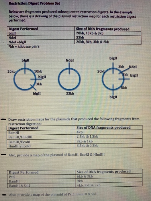 Solved Restriction Digest Problem Set Below are fragments | Chegg.com